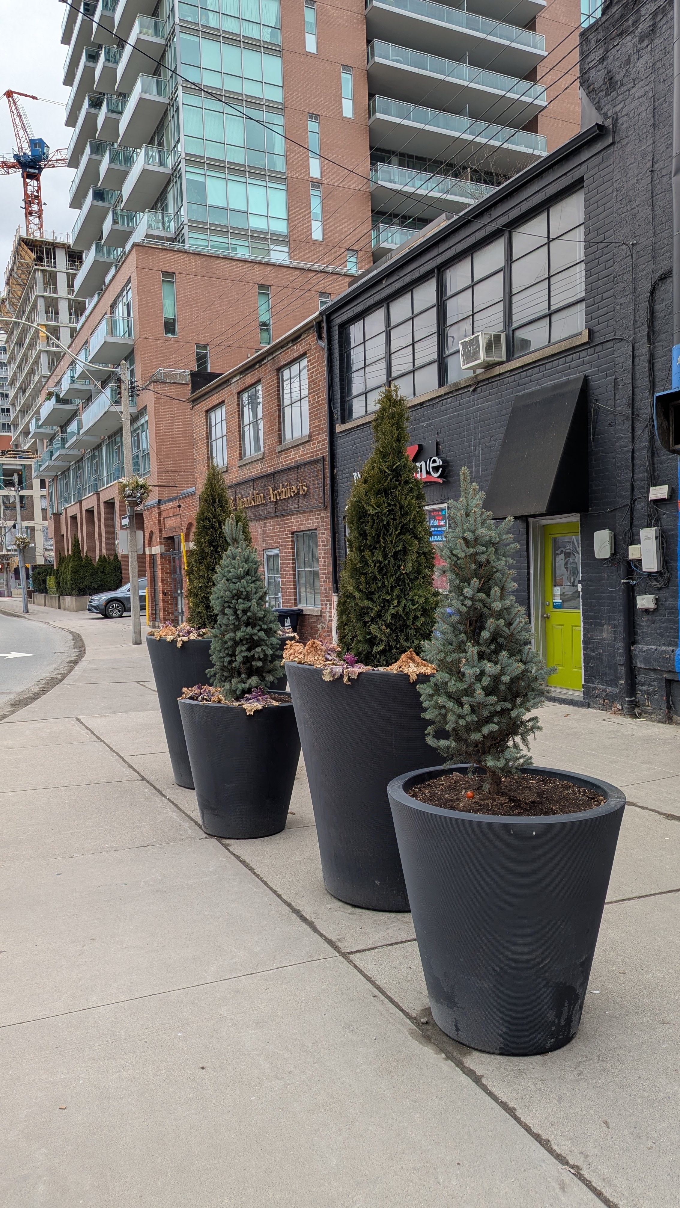 Project: New Street Planters in St. Lawrence Neighbourhood | Toronto ...